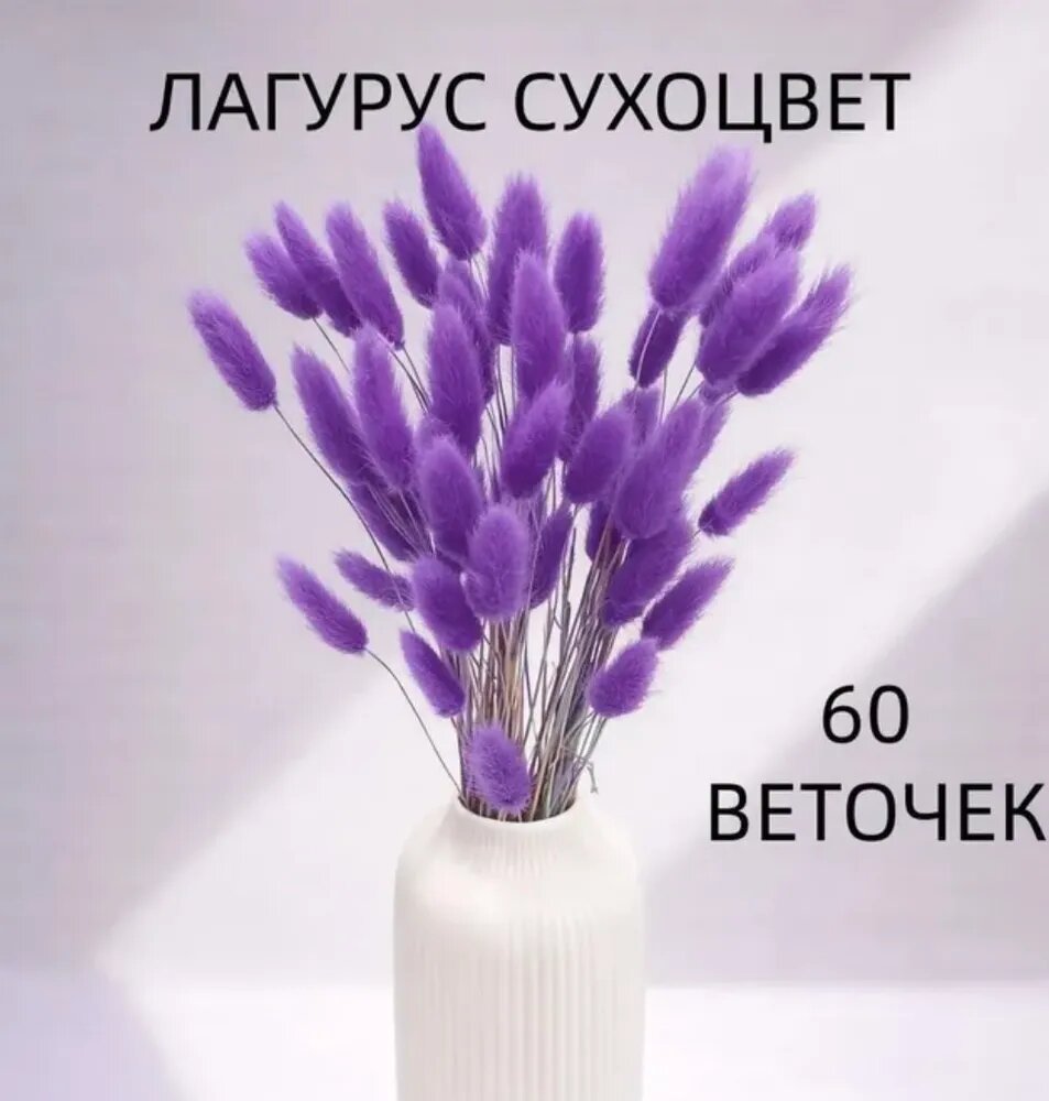 Сухоцветы Лагурус, 55 см, 100 гр, 60 шт