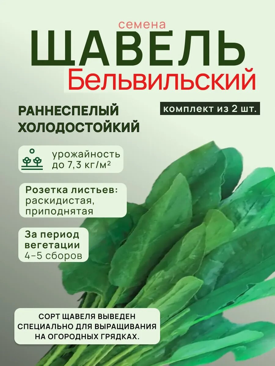 Семена щавеля сорт Бельвильский, морозостойкий, зелень, 2 пакета