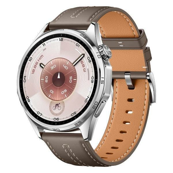 Смарт-часы HUAWEI Watch GT 6 46mm Gray (55020FWE)