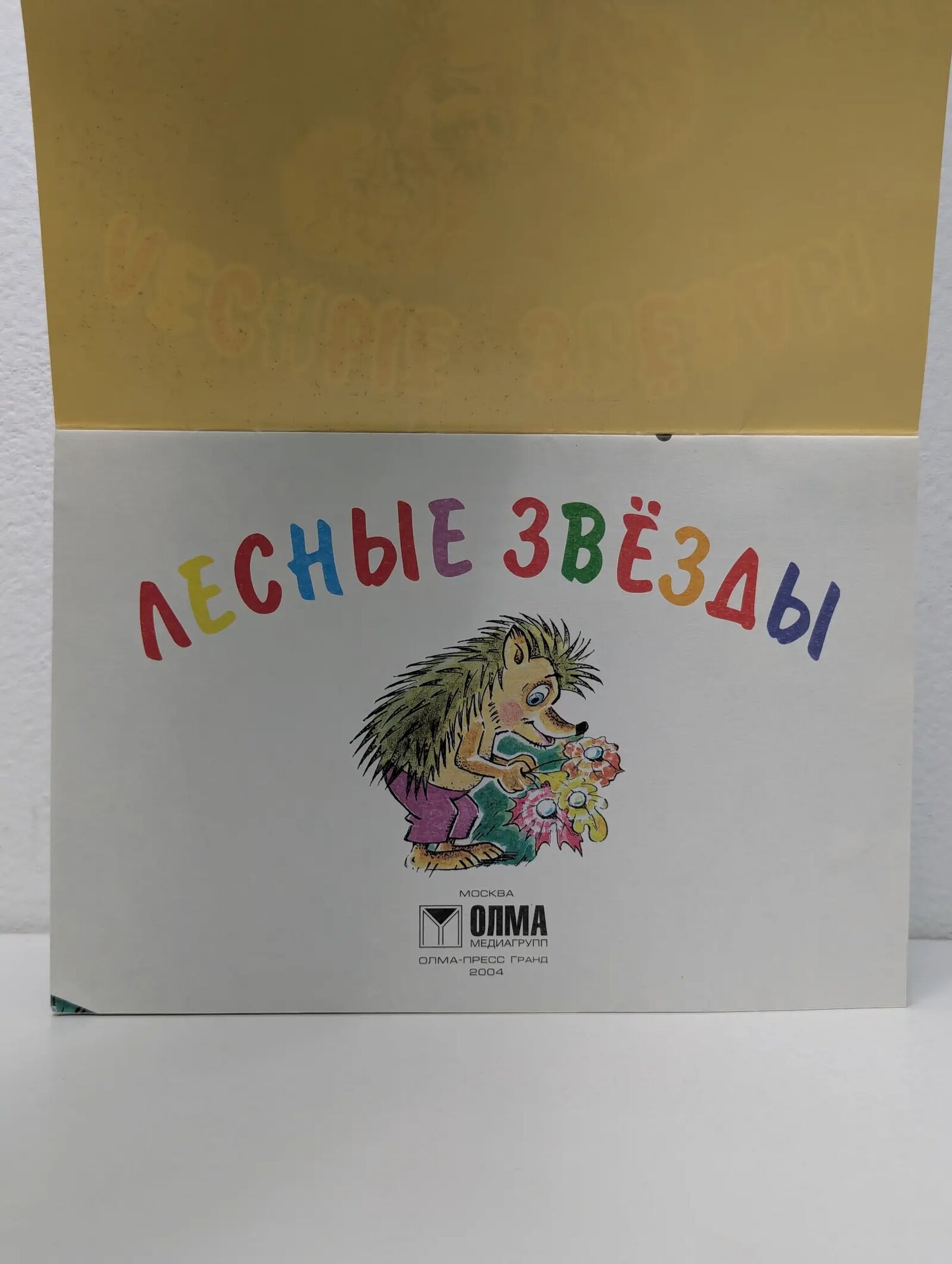 Лесные звезды 2004 — фото 1