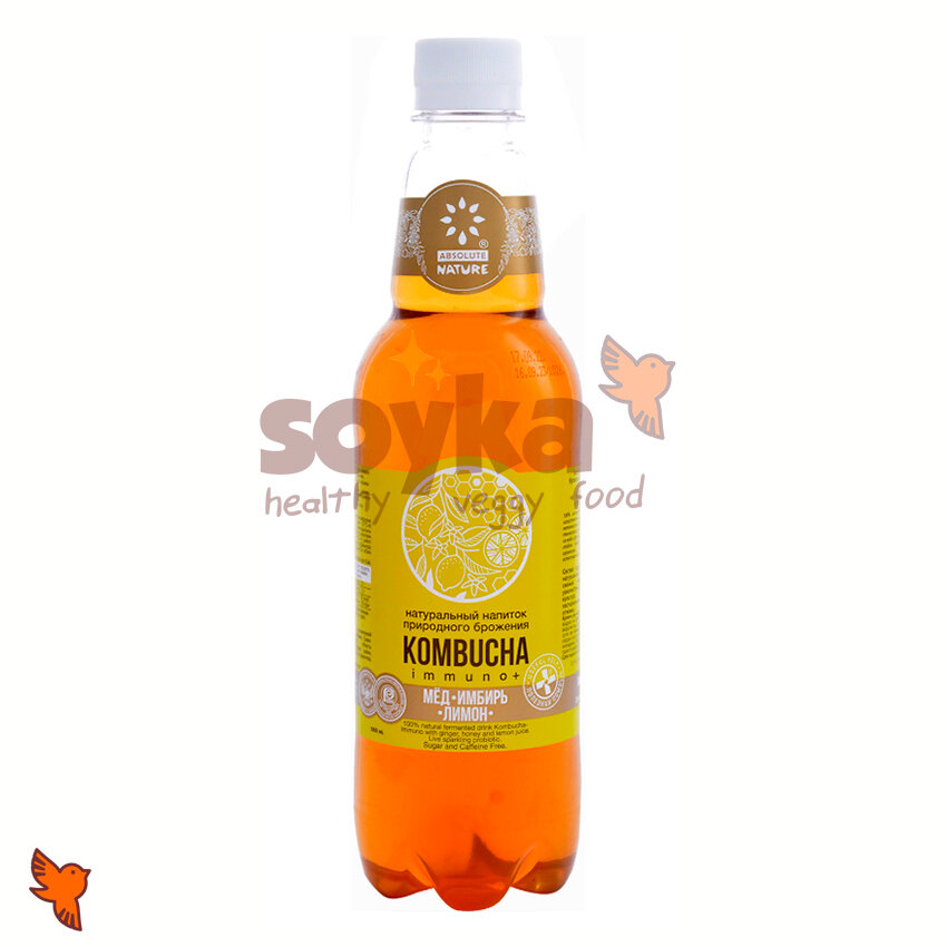 Комбуча мед имбирь и лимон Immuno Absolute Nature, 555мл