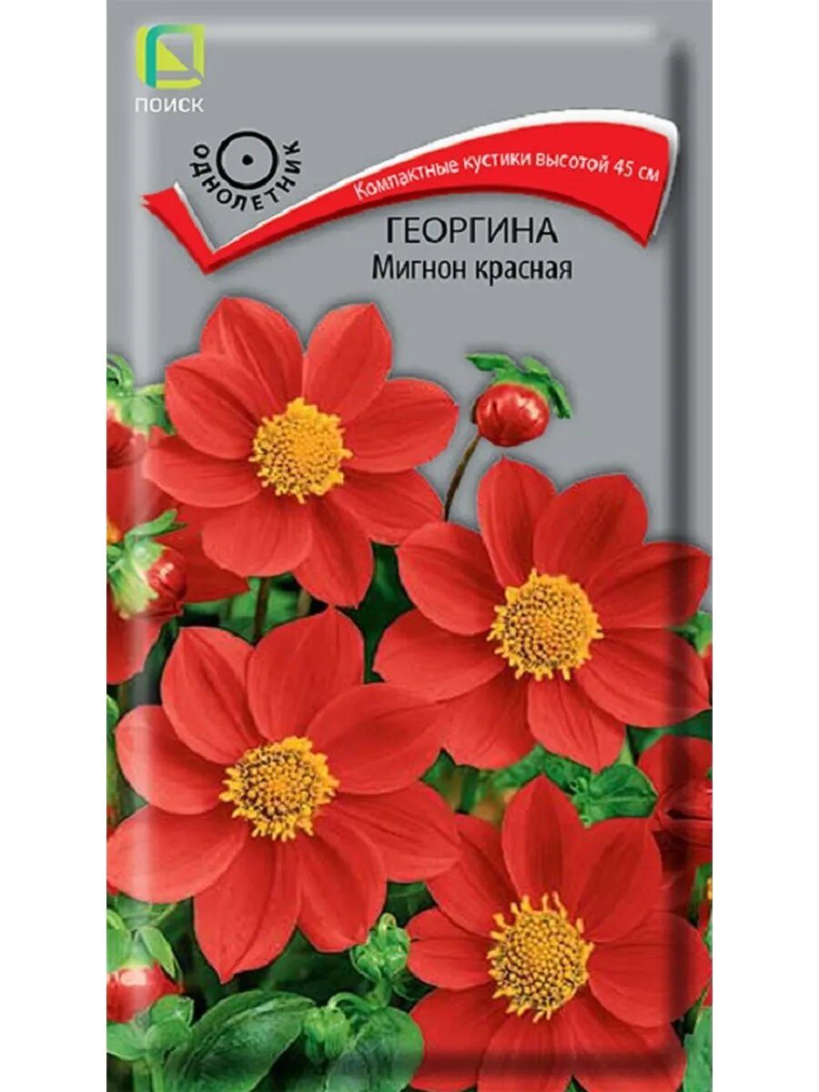 Семена цветов георгина Мигнон красная
