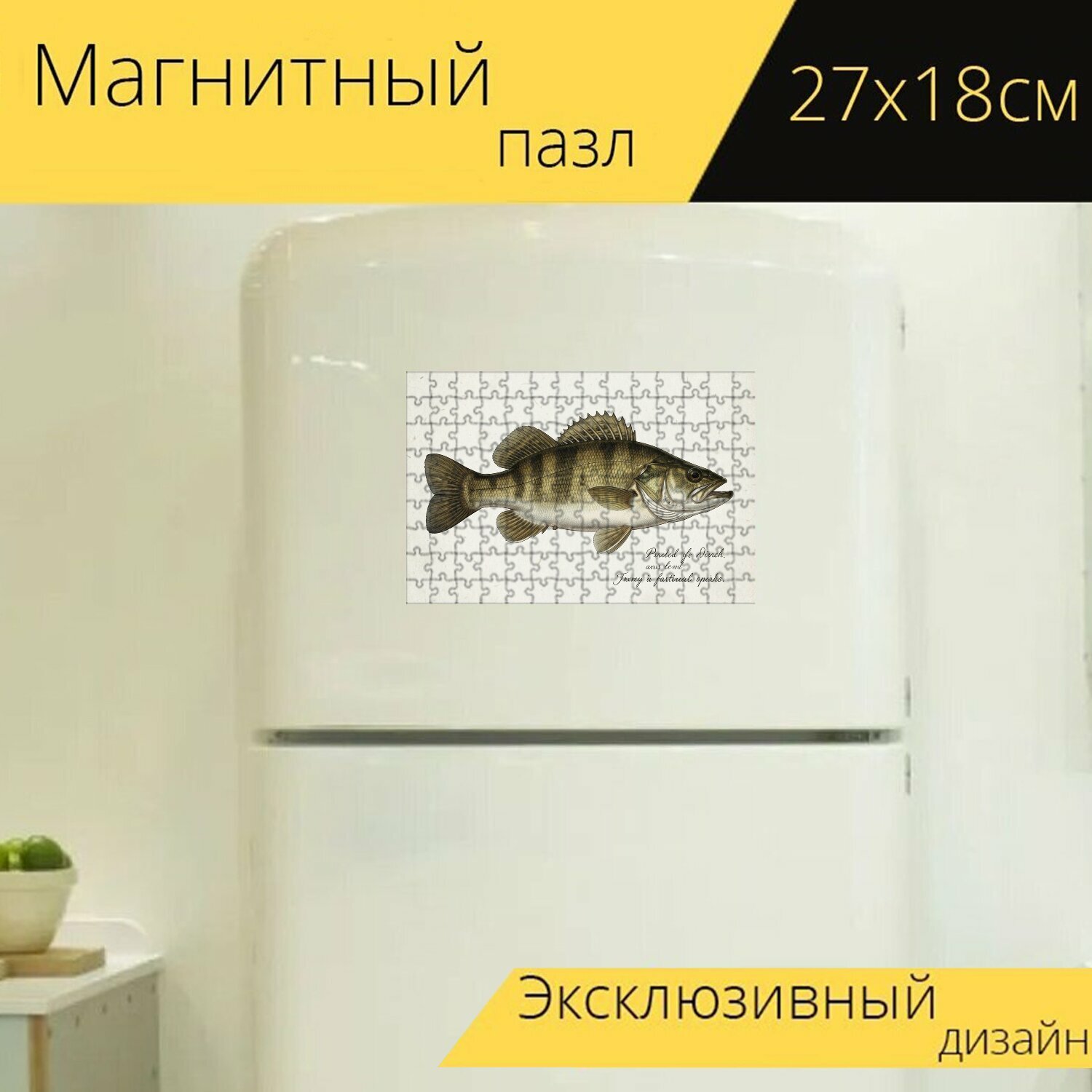 Магнитный пазл "Рыба судак на светлом фоне. Реалистичная иллюстрация хищной рыбы в профиль, с детальной чешуёй и плавниками. Песочно-оливковые оттенки." на холодильник 27 x 18 см.