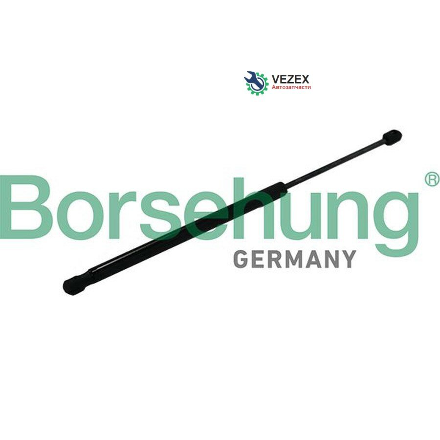 BORSEHUNG B19169 Амортизатор багажника