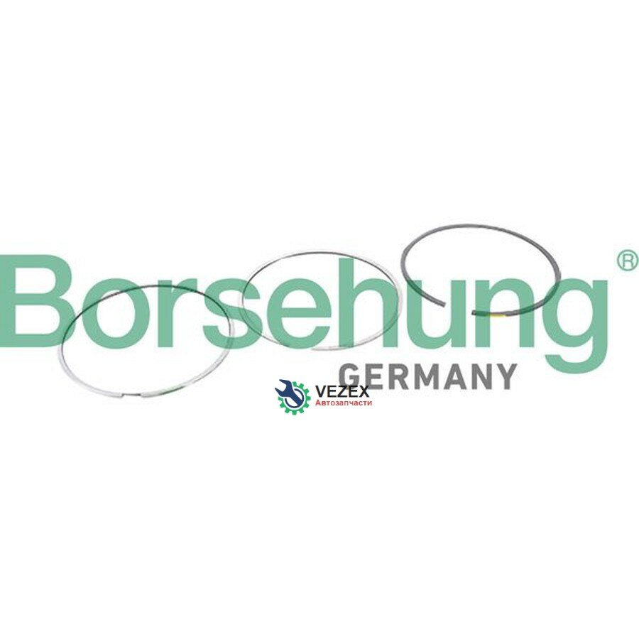 BORSEHUNG B10364 Поршневые кольца