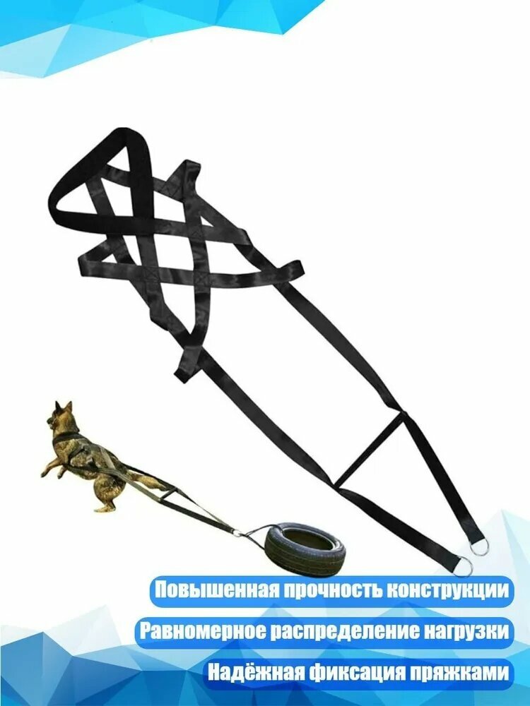 Собачий поводок-уздечка для езды на санях