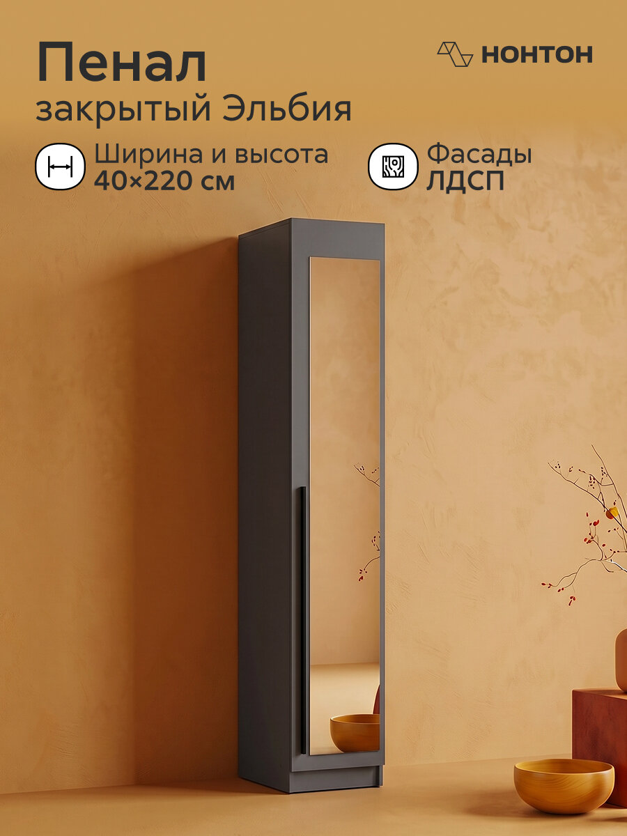 Пенал закрытый с зеркалом Эльбия, Ш:40 * Г:52 * В:220 (серый графит)