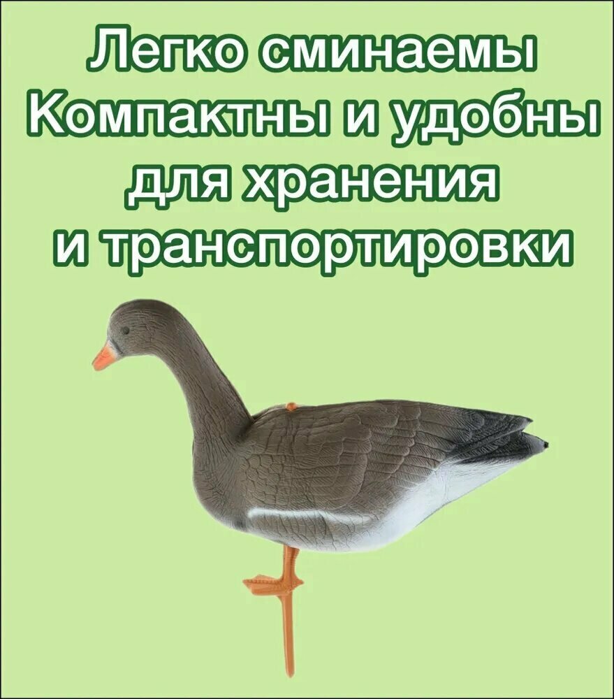 Чучело — фото 1