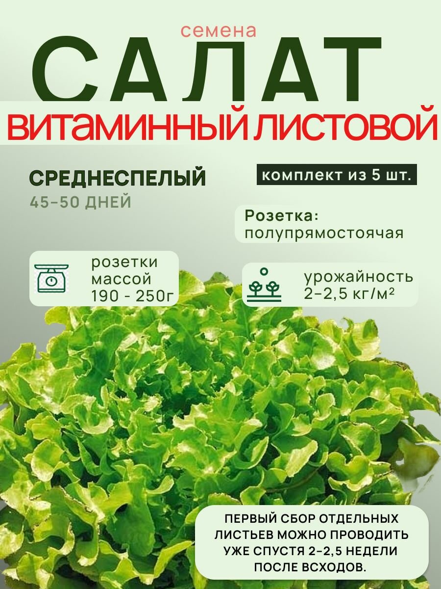 Семена салата Аэлита "Витаминный", листовой, среднеспелый, устойчивый к цветушности, 5 пачек