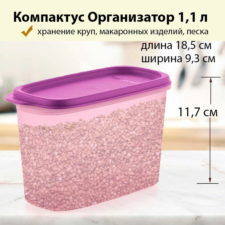 Tupperware Компактус Организатор герметичный, 1.1 л, сиреневый, прозрачный