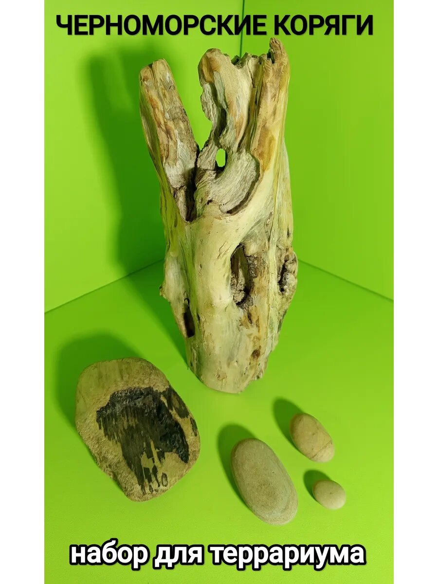 Коряги Черноморские для террариума, инсектариума, дизайна