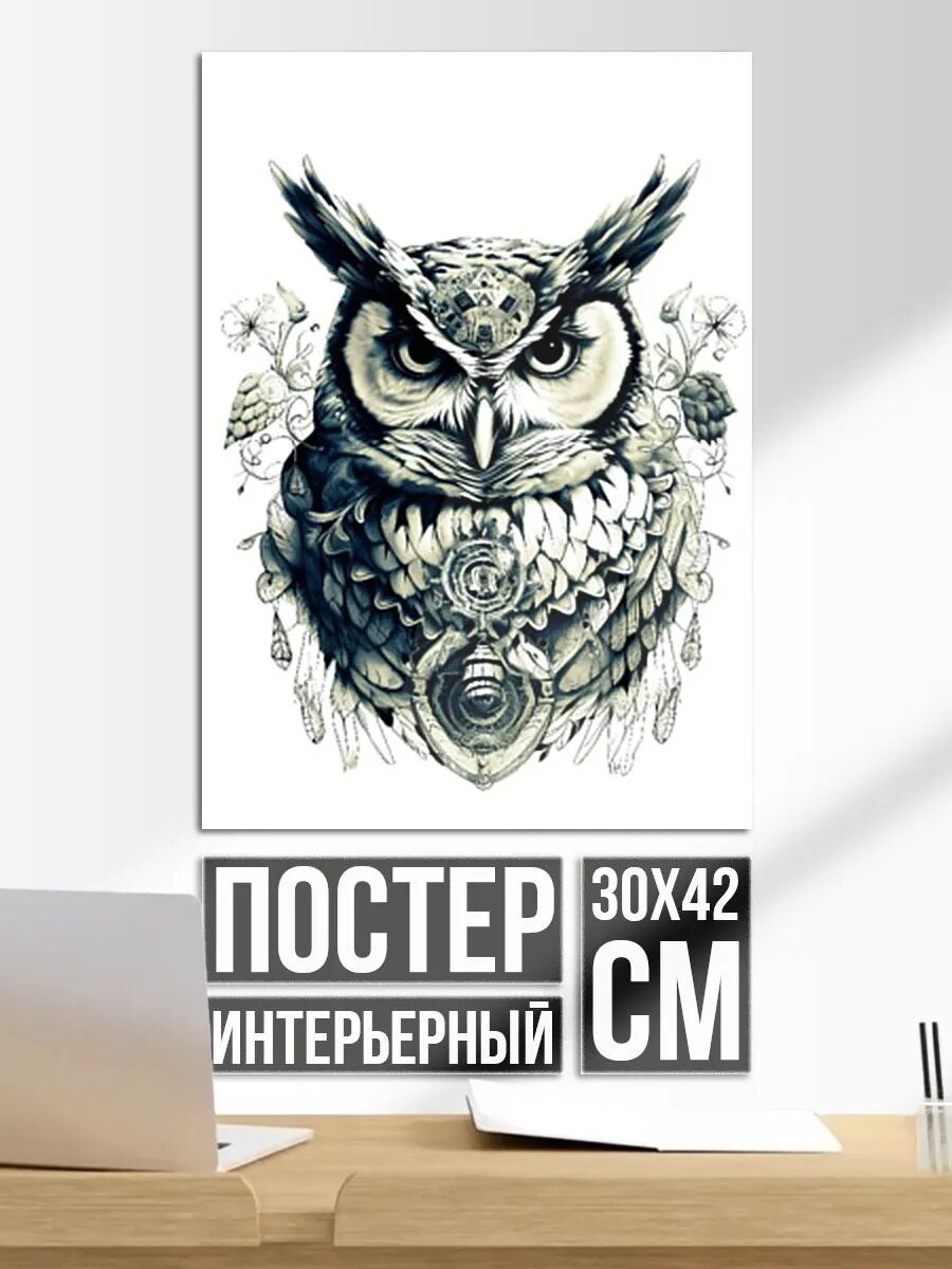 Постер на стену Красавица сова рисованная карандашом