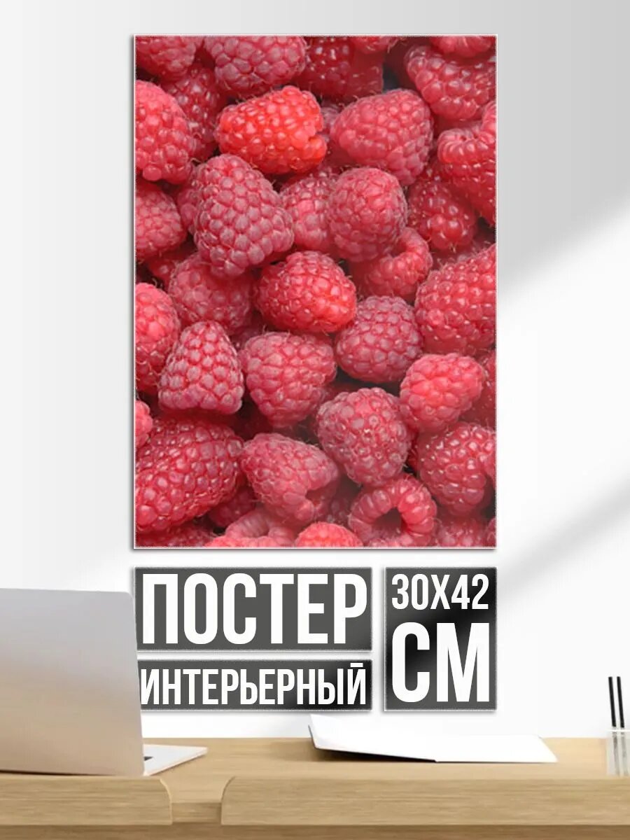 Постер на стену Малина - ягоды