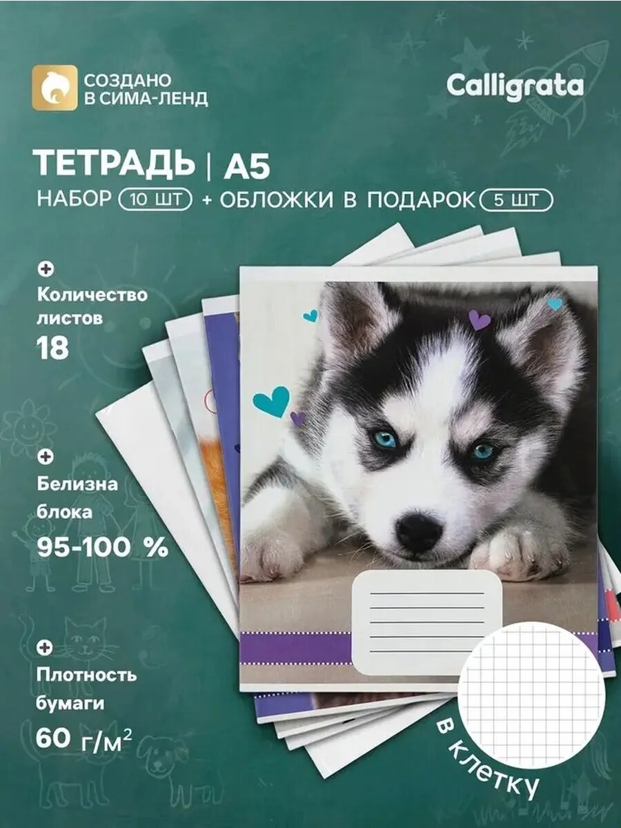 Набор тетрадей с домашними животными + подарки