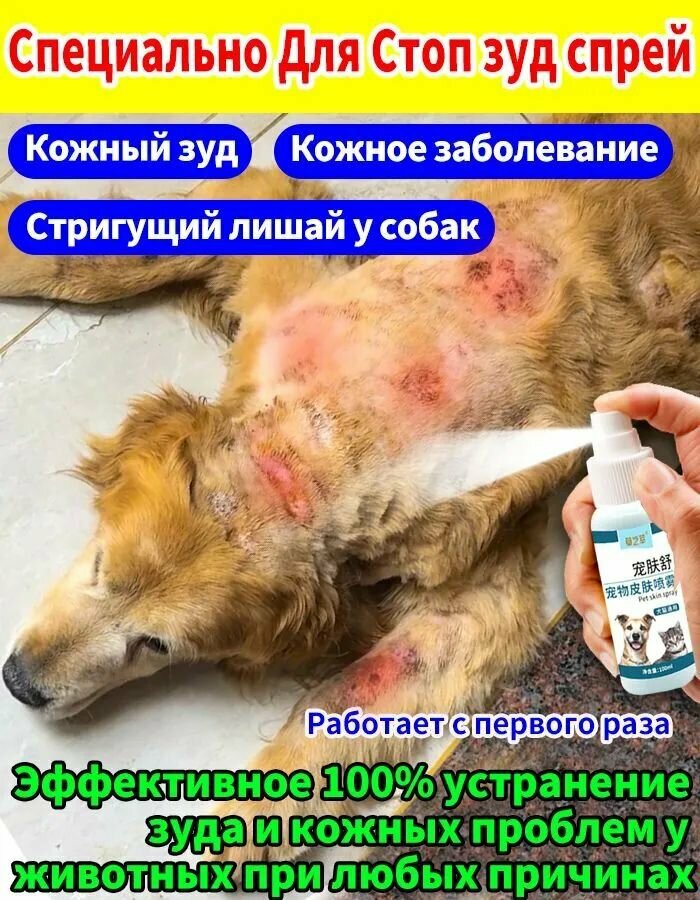 Спрей от межпальцевого дерматита для собак и кошек 100 мл, средство от воспаления лап, заживление ран и язв