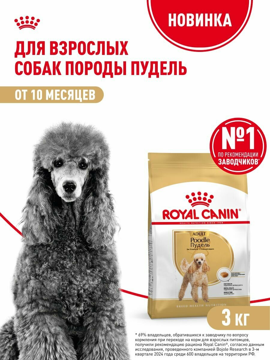 Корм сухой полнорационный ROYAL CANIN POODLE ADULT для взрослых собак породы пудель в возрасте старше 10 мес, 3 кг