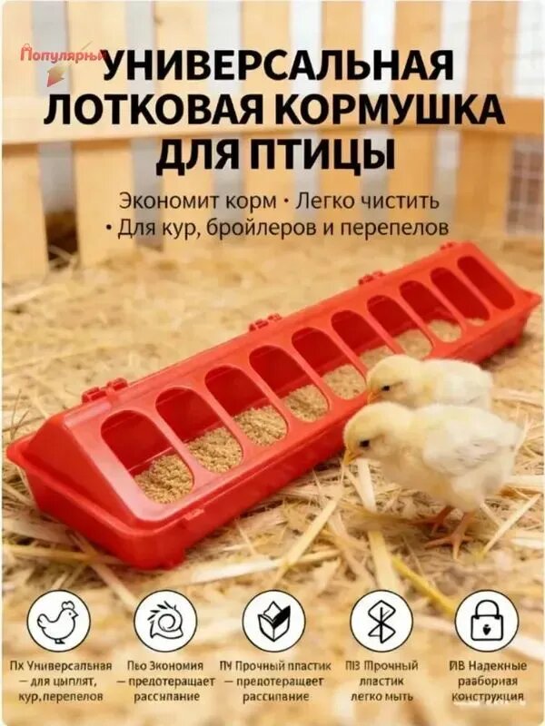 50 см / Кормушка бункерная лотковая для кур, птиц, перепелов, цыплят, бройлеров / кормушка, поилка для домашней п