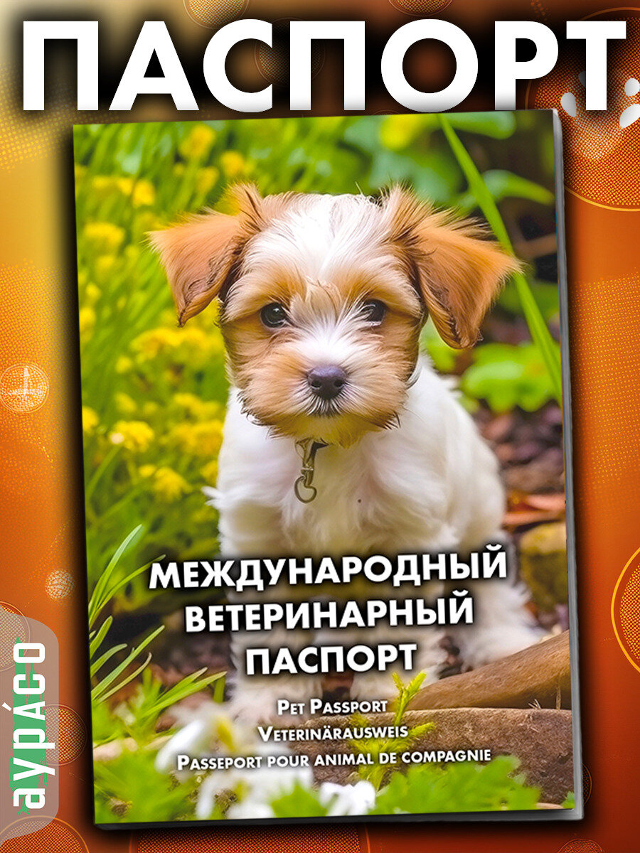 Ветеринарный паспорт для кошек и собак международный