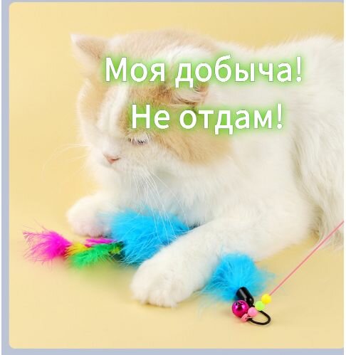 Интерактивная игрушка для кошек: длинная удочка-дразнилка с перьями и помпоном для снятия скуки