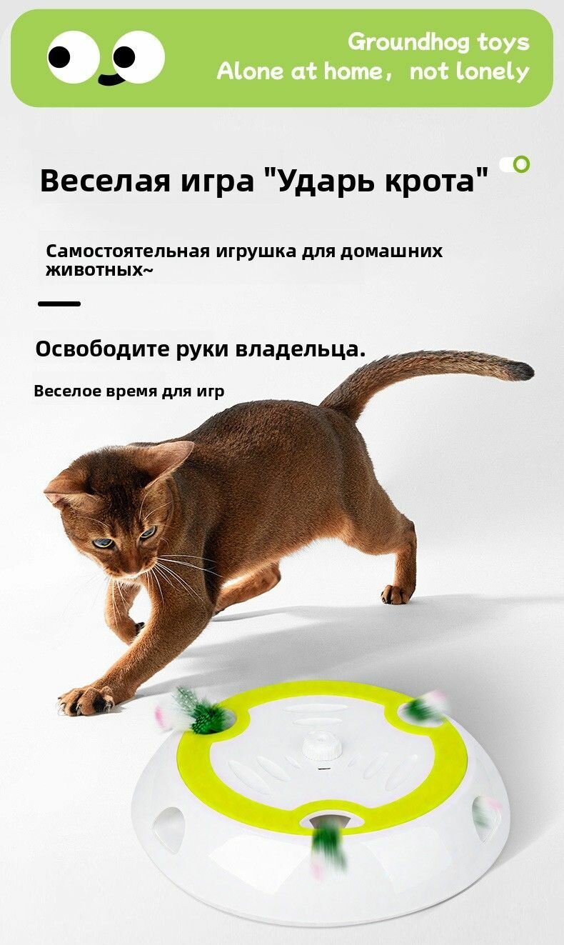 Электрическая игрушка для кошек, автоматическая удочка с регулировкой скорости, интерактивный центр с перьями на батарейках