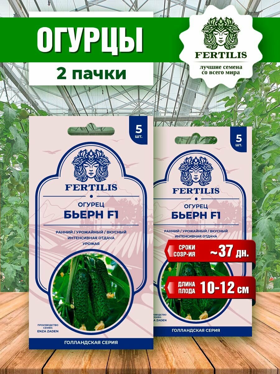 Семена урожайного огурца "Бьерн F1" от компании Fertilis (2 пачки)
