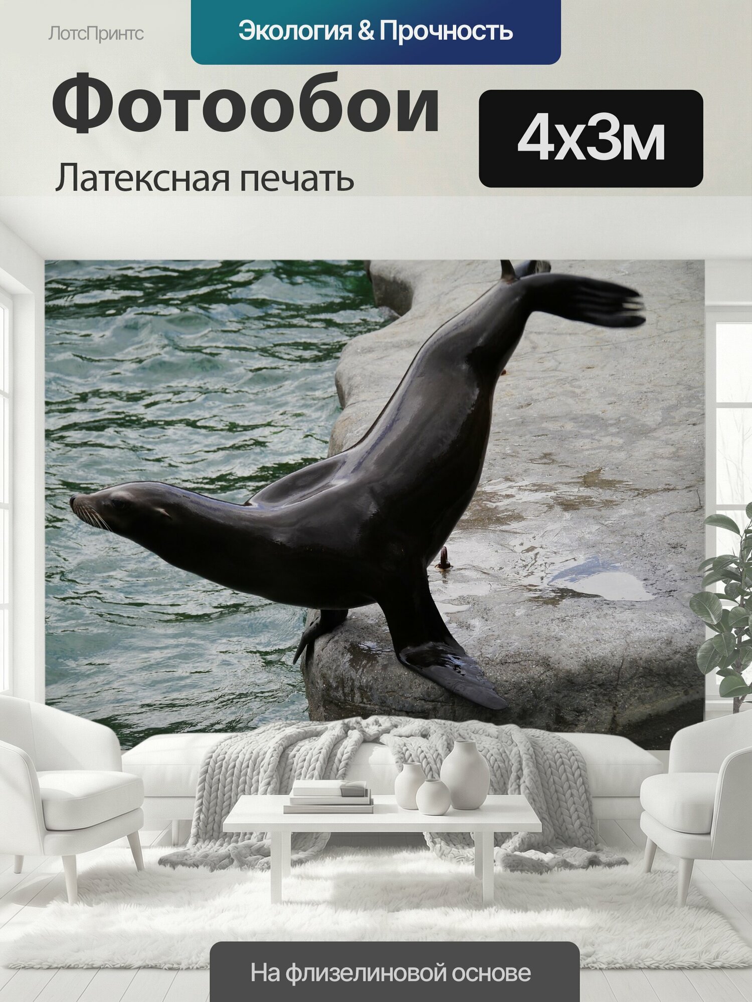 Фотообои моющиеся ударопрочные "Морской лев, морские существа, водная жизнь" 400x300 см. латексная печать