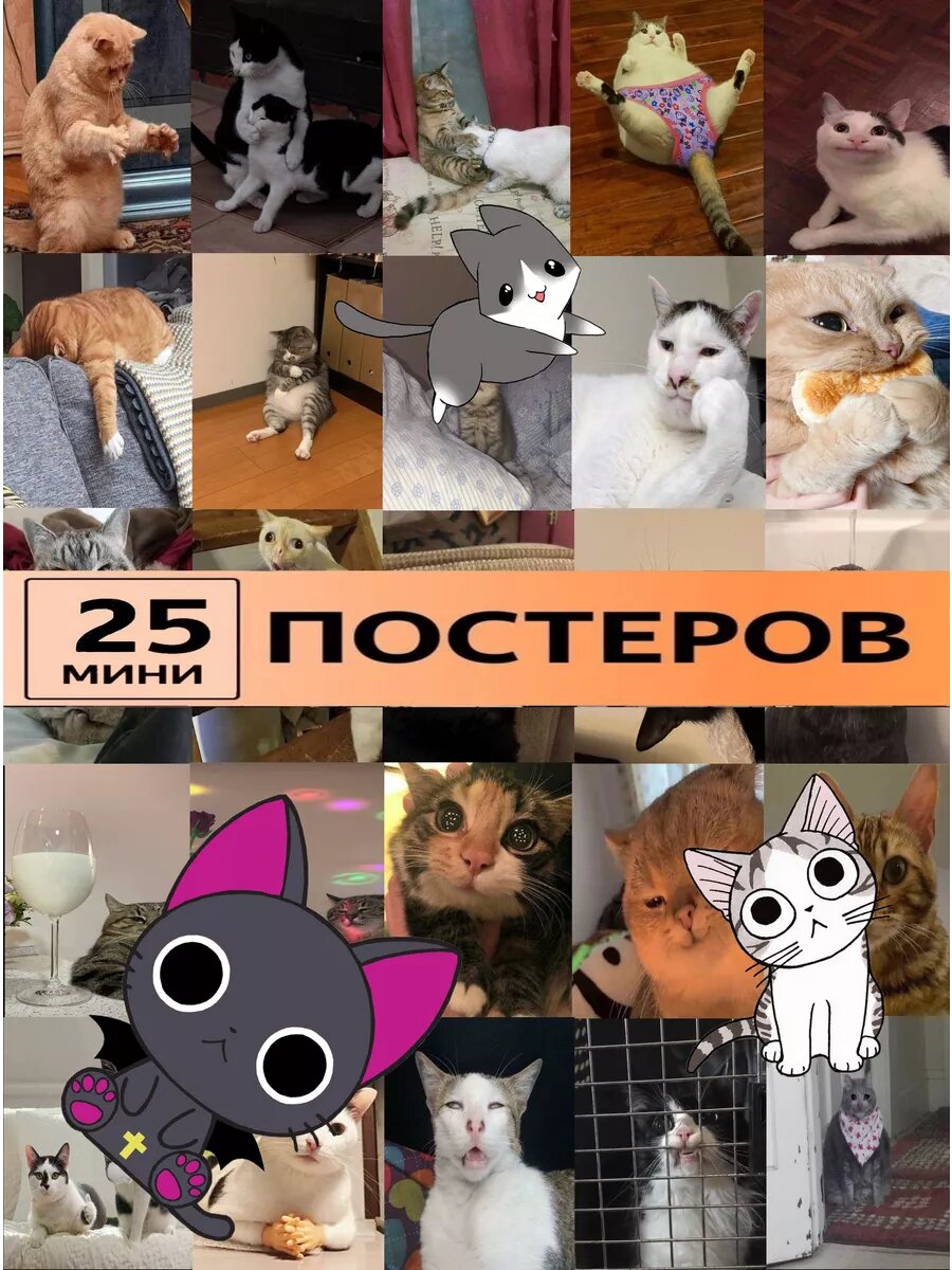 Постеры на стену мемные котики