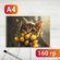 Альбом для рисования Котик