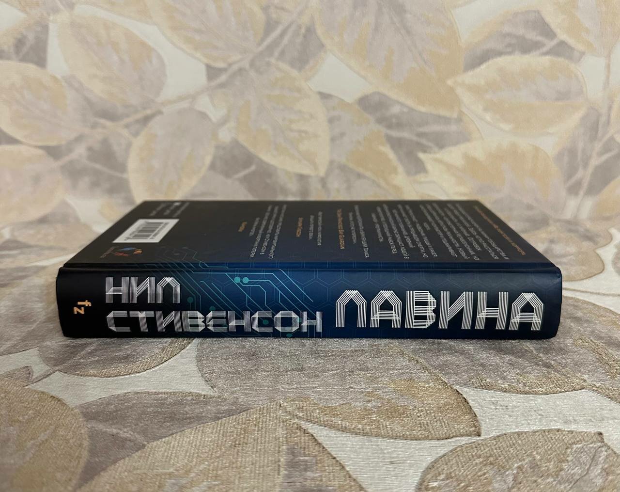 Лавина — фото 1