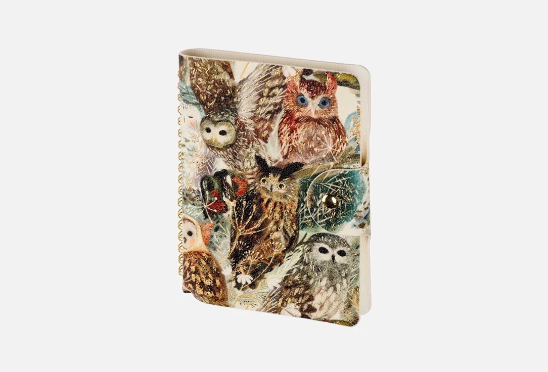 Bruno Visconti Fauna. Волшебные Совы Ежедневник 1шт