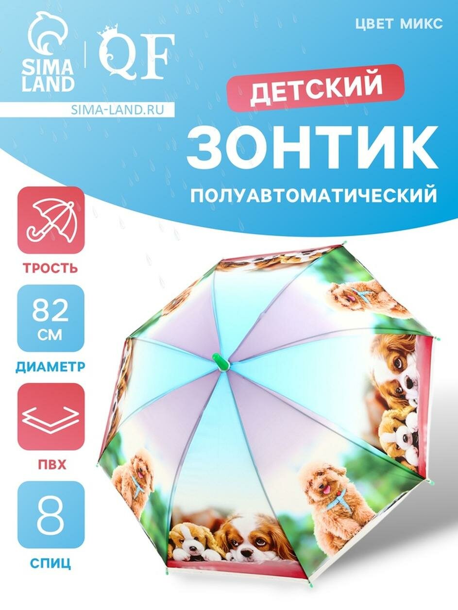 Зонты