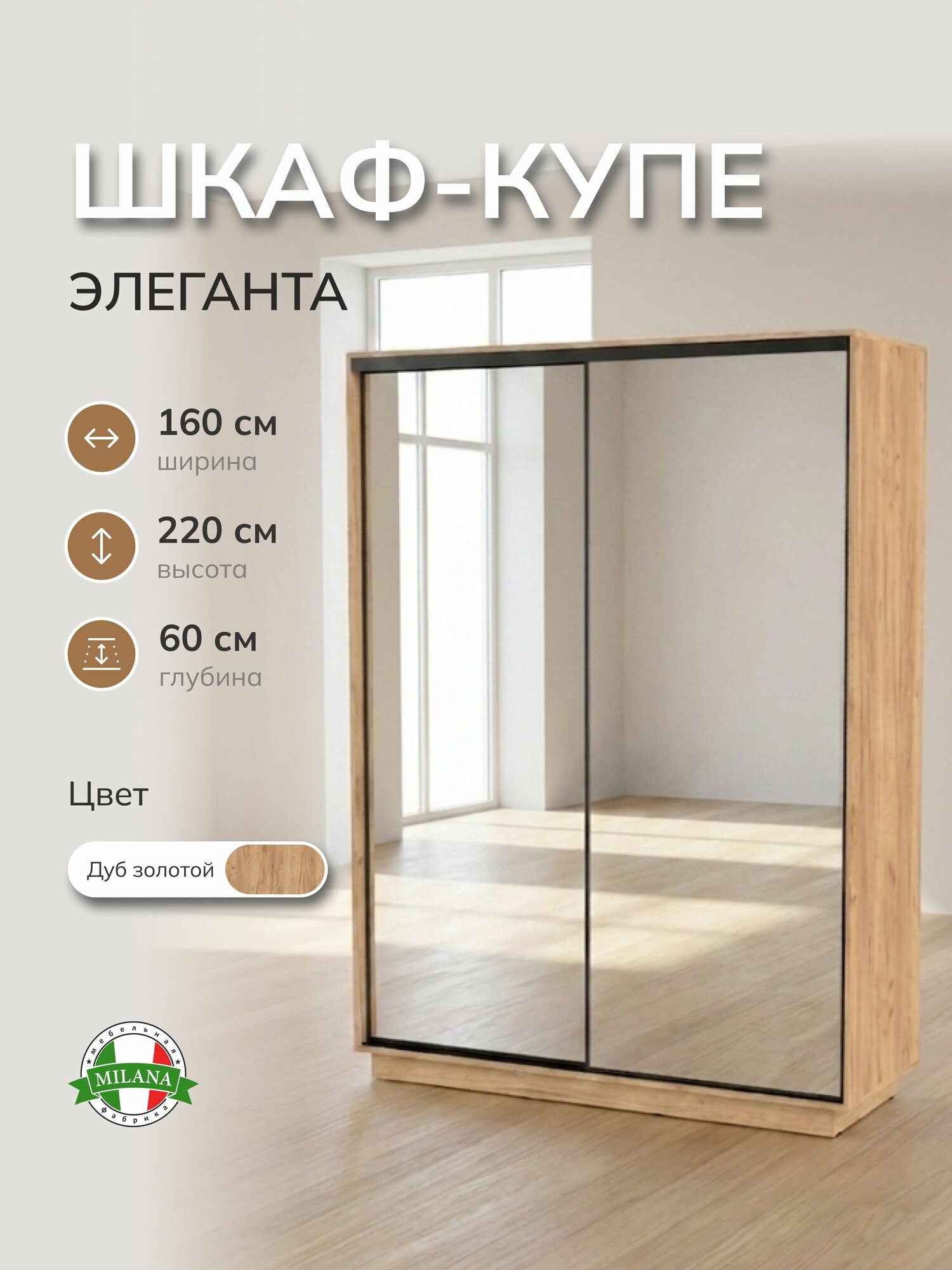 Шкаф-купе зеркальный Элеганта, 2дв, 160х60х220 см