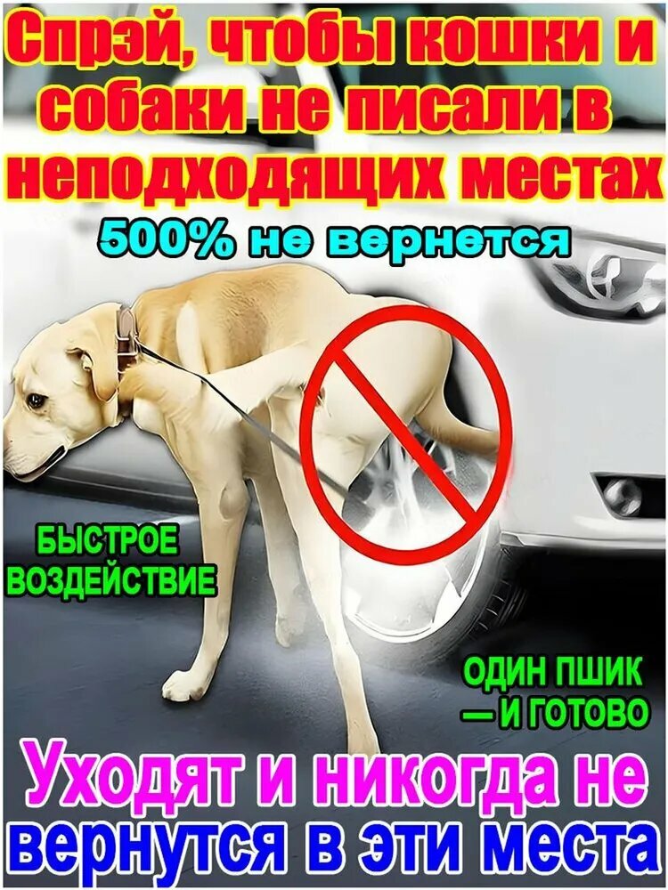 Натуральный спрейрепеллент "Антигадин" для собак и кошек, применяемый для предотвращения царапин и меток на коврах и мебели, является качественным средством с мгновенным эффектом.