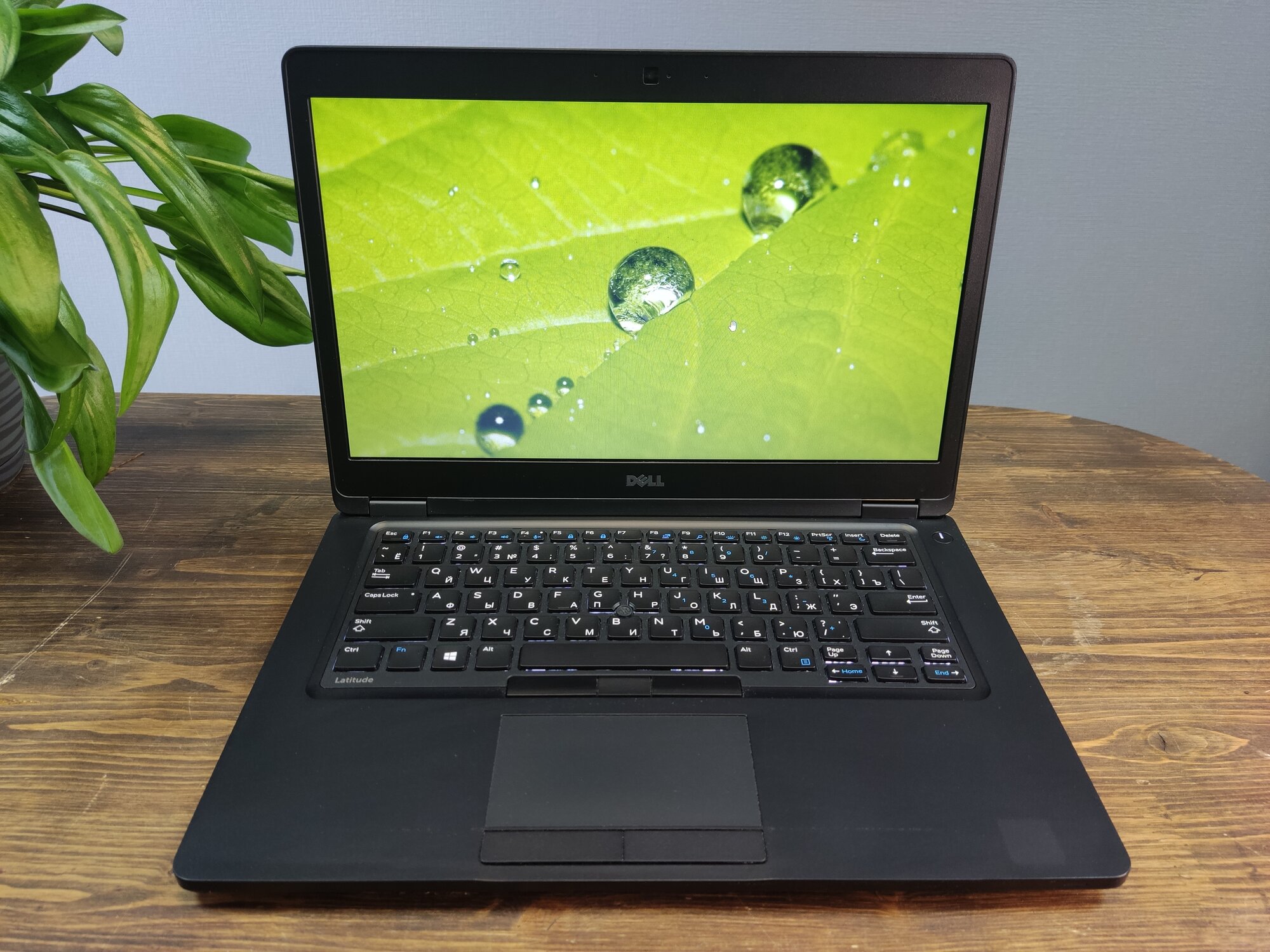 Ноутбук Dell Latitude 5480 14", Intel Core i7-6600U, RAM 8 ГБ, SSD 256 ГБ, NVIDIA GeForce 930MX (2 Гб), Windows Pro, черный, черный матовый, Русская раскладка