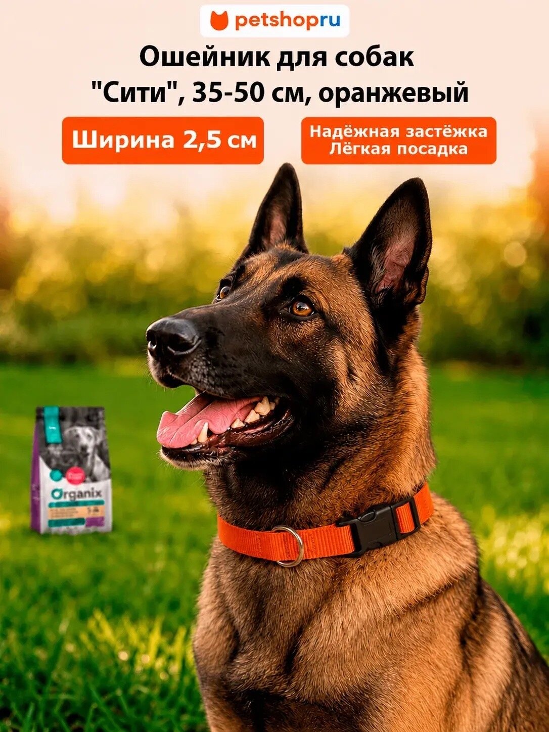 Yami Yami амуниция Ошейник "Сити" для собак, оранжевый, 35-50 см