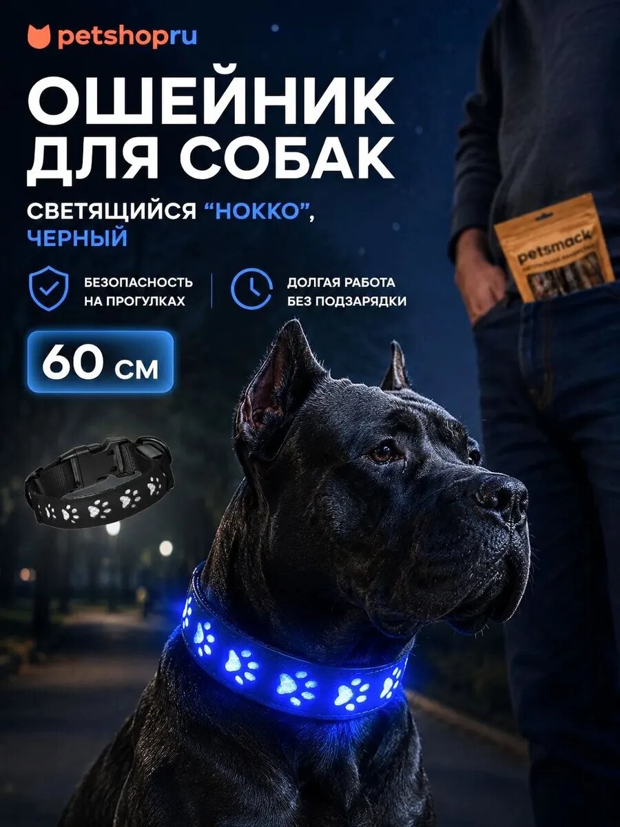 Tappi Светящийся ошейник "Нокко", L