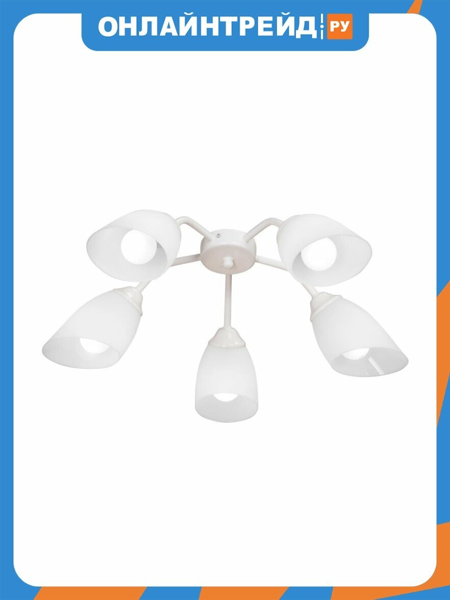 Потолочная люстра Vitaluce V31950/5PL