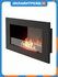 Биокамин Firelight BFP/W-110