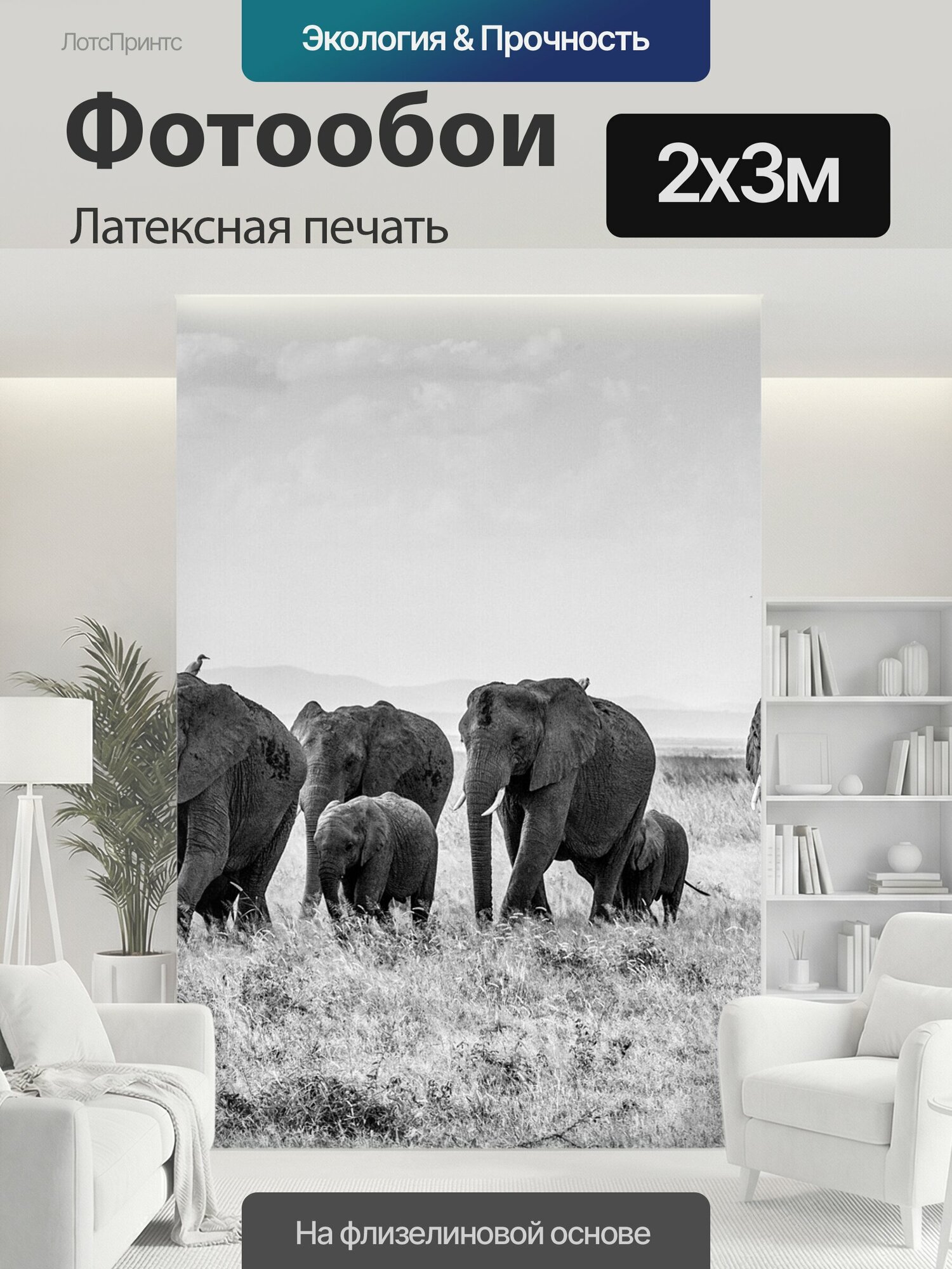 Фотообои моющиеся ударопрочные "Саванновый африканский слон, слоны, стадо слонов" 200x300 см. латексная печать