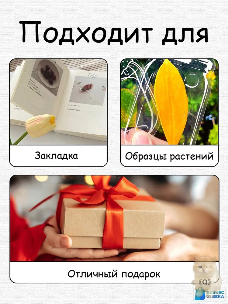 Альбом Гербарий — фото 1