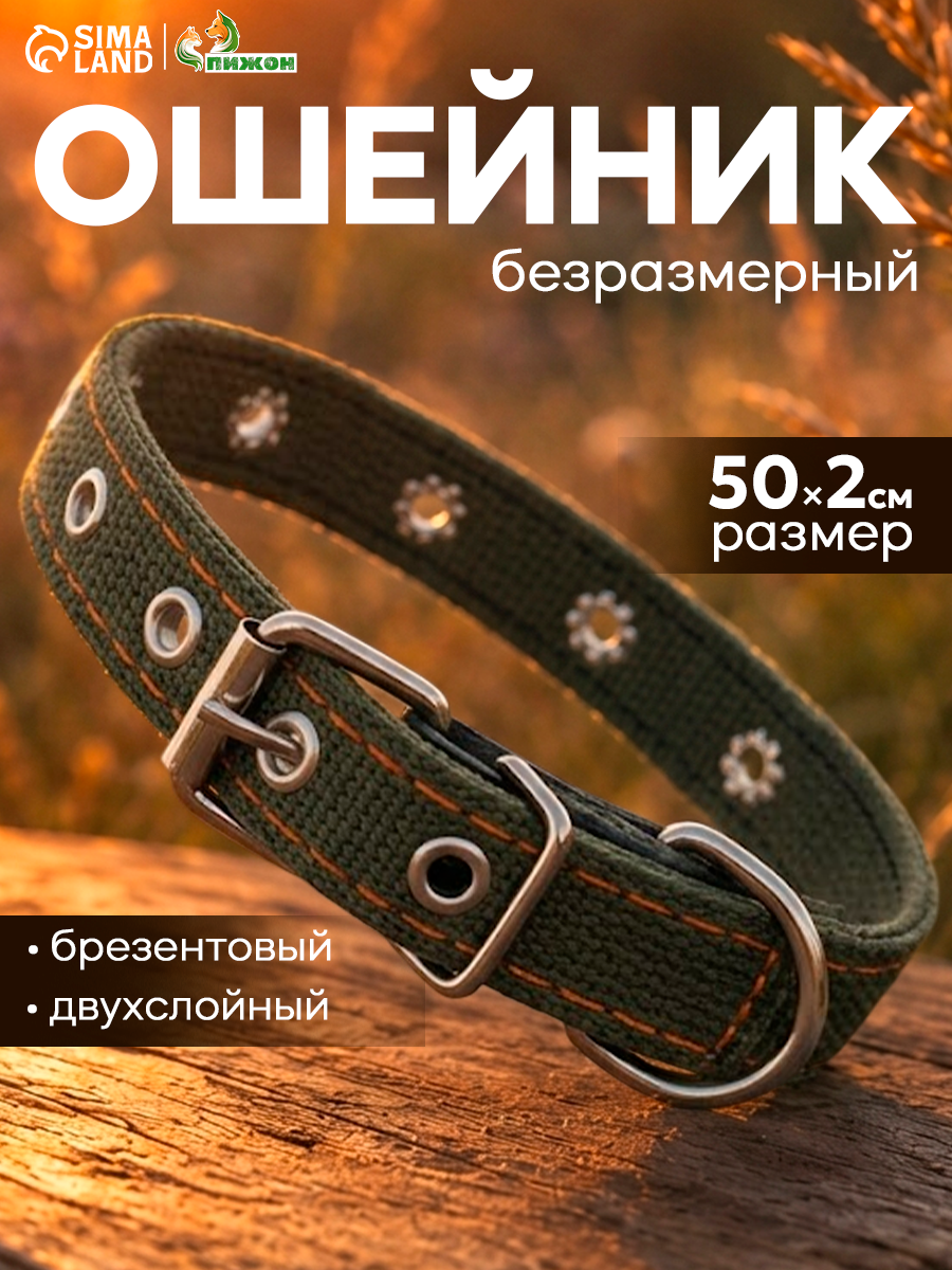 Ошейник брезентовый безразмерный двухслойный, 50 х 2 см, ОШ 22-45 см