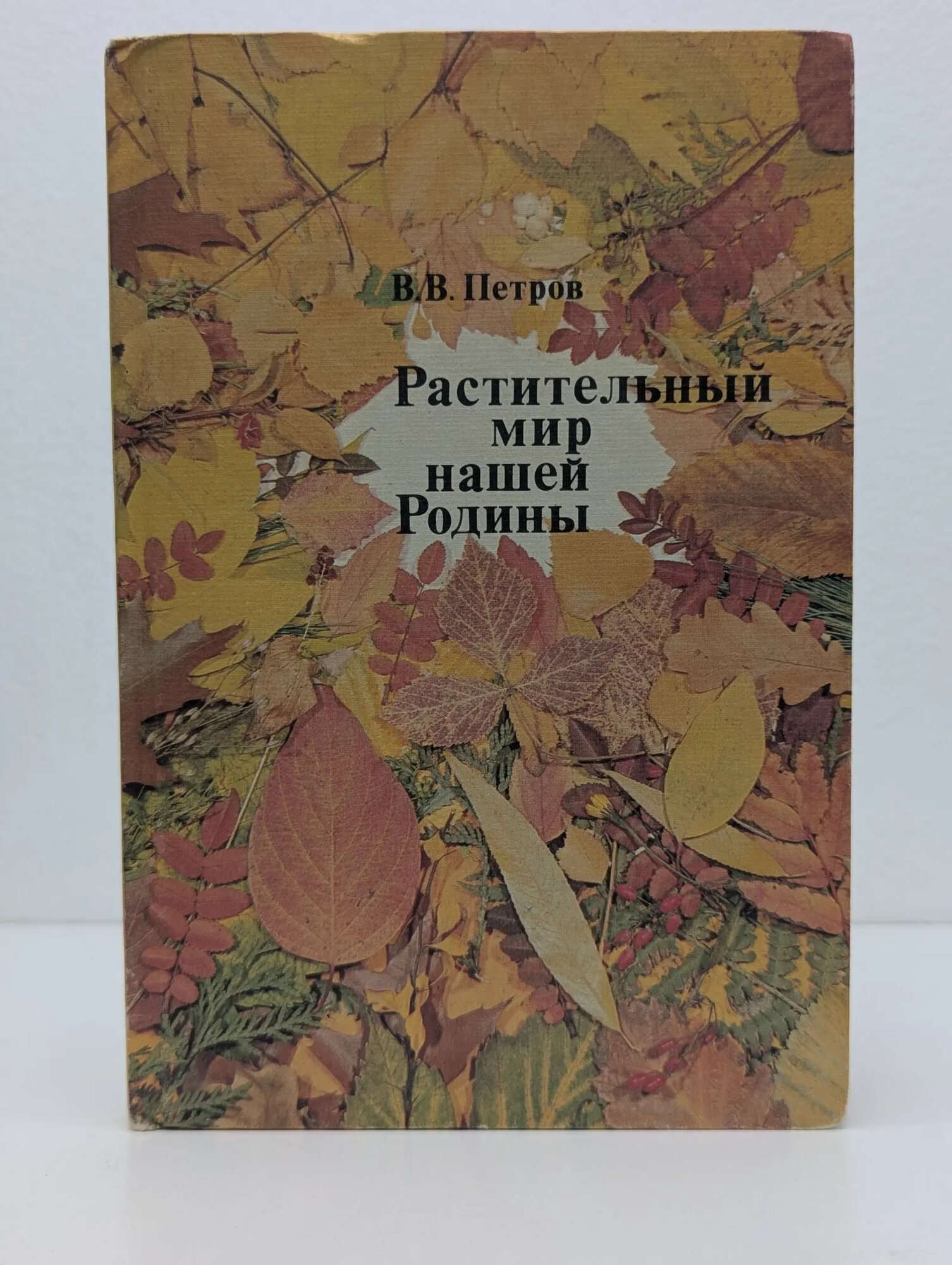 Растительный мир нашей Родины Петров Владимир Владимирович 1991