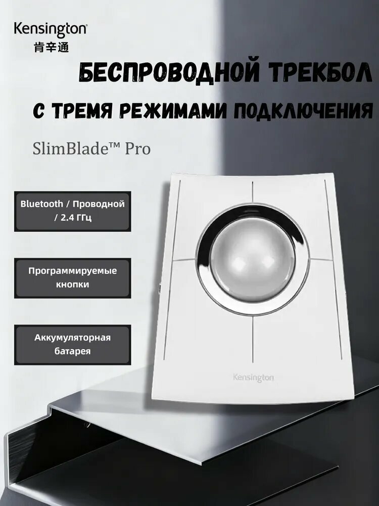 Мышь, белый — фото 1