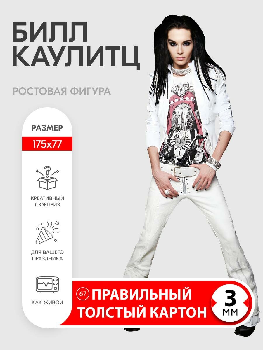 Аксессуар для фотосессий, Билл Каулитц (Tokio Hotel) 3, ростовая фигура