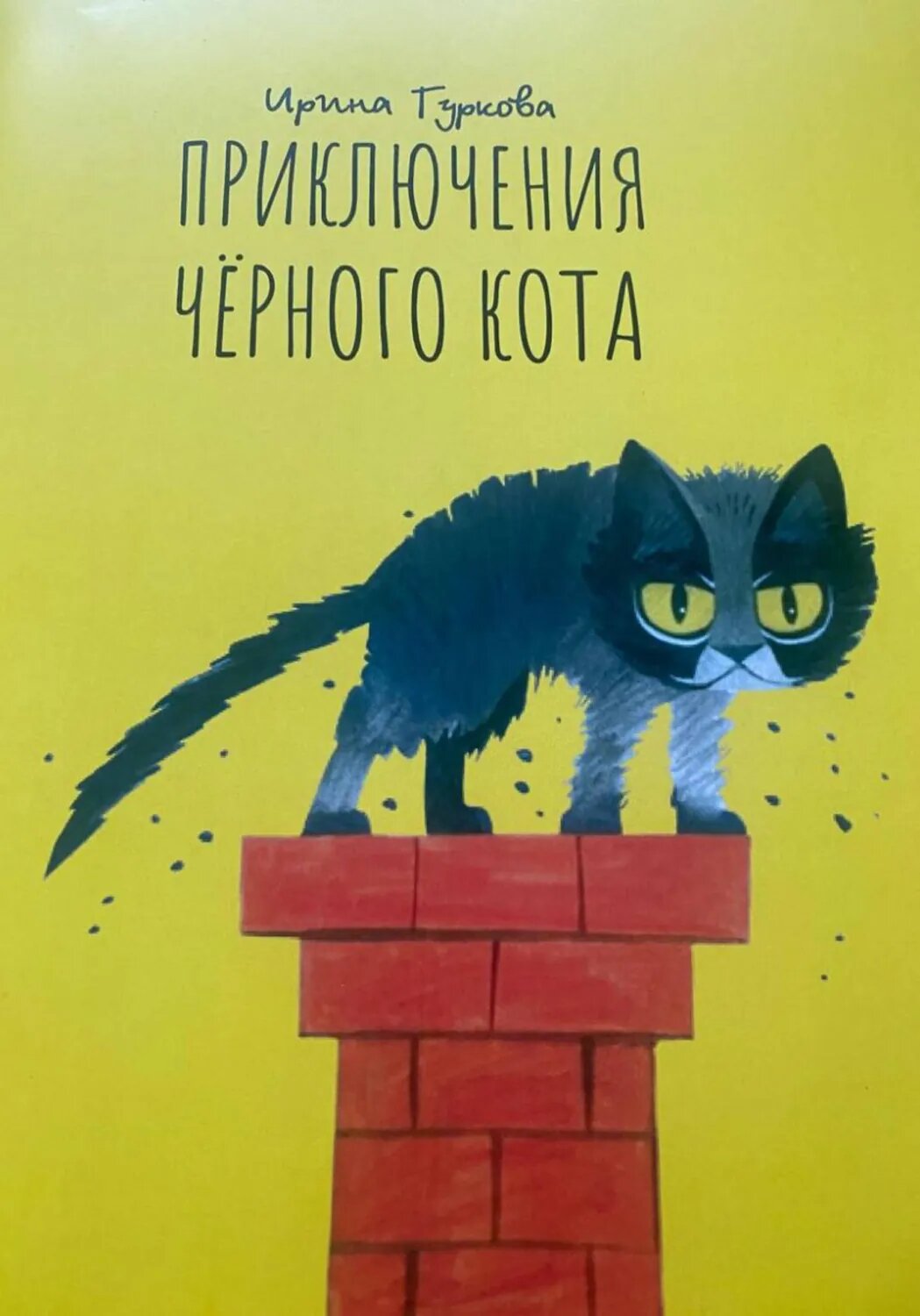 Приключения Чёрного кота [Цифровая книга]