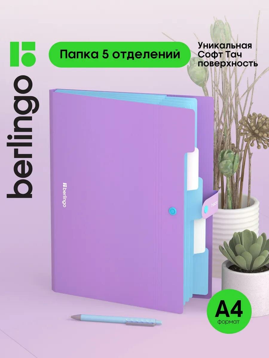Папка органайзер для документов на кнопке Berlingo Haze, семейная, 5 отделений, А4, сиреневая