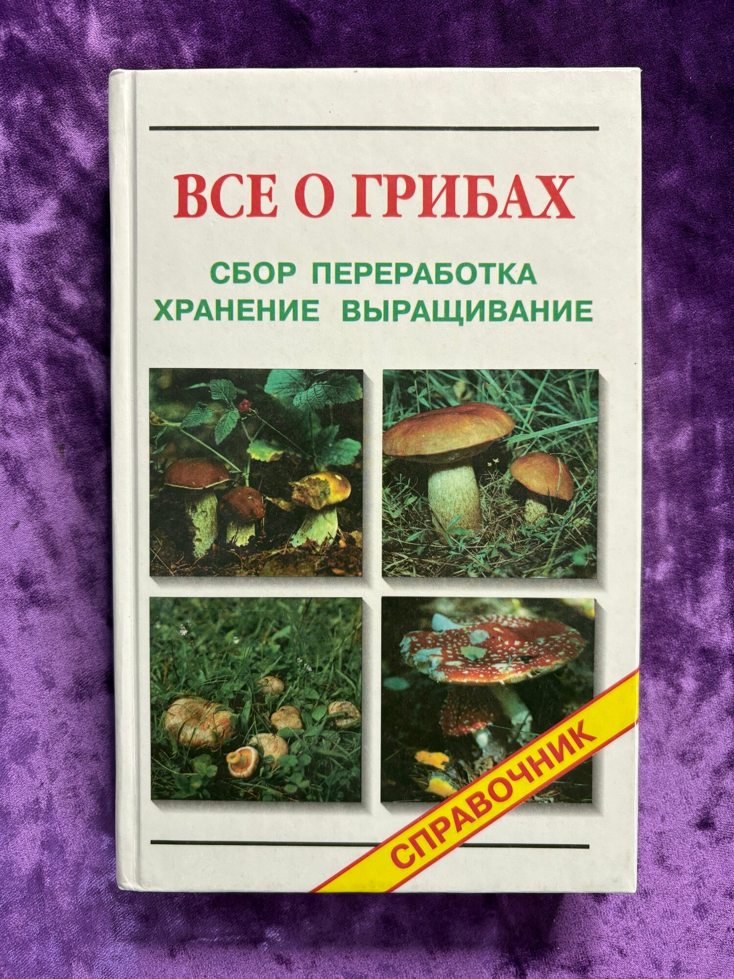 Все о грибах