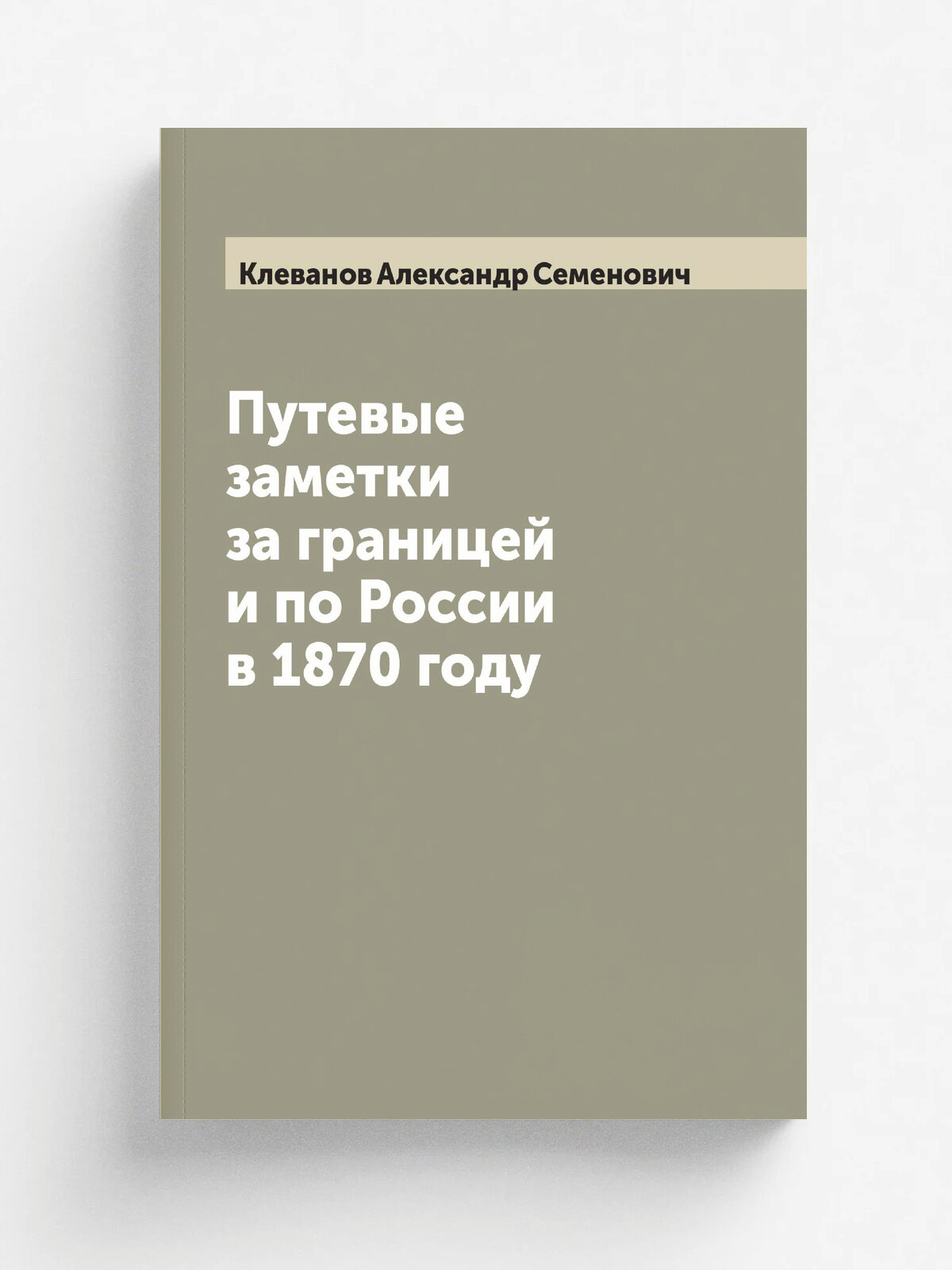 Путевые заметки за границей и по России в 1870 году