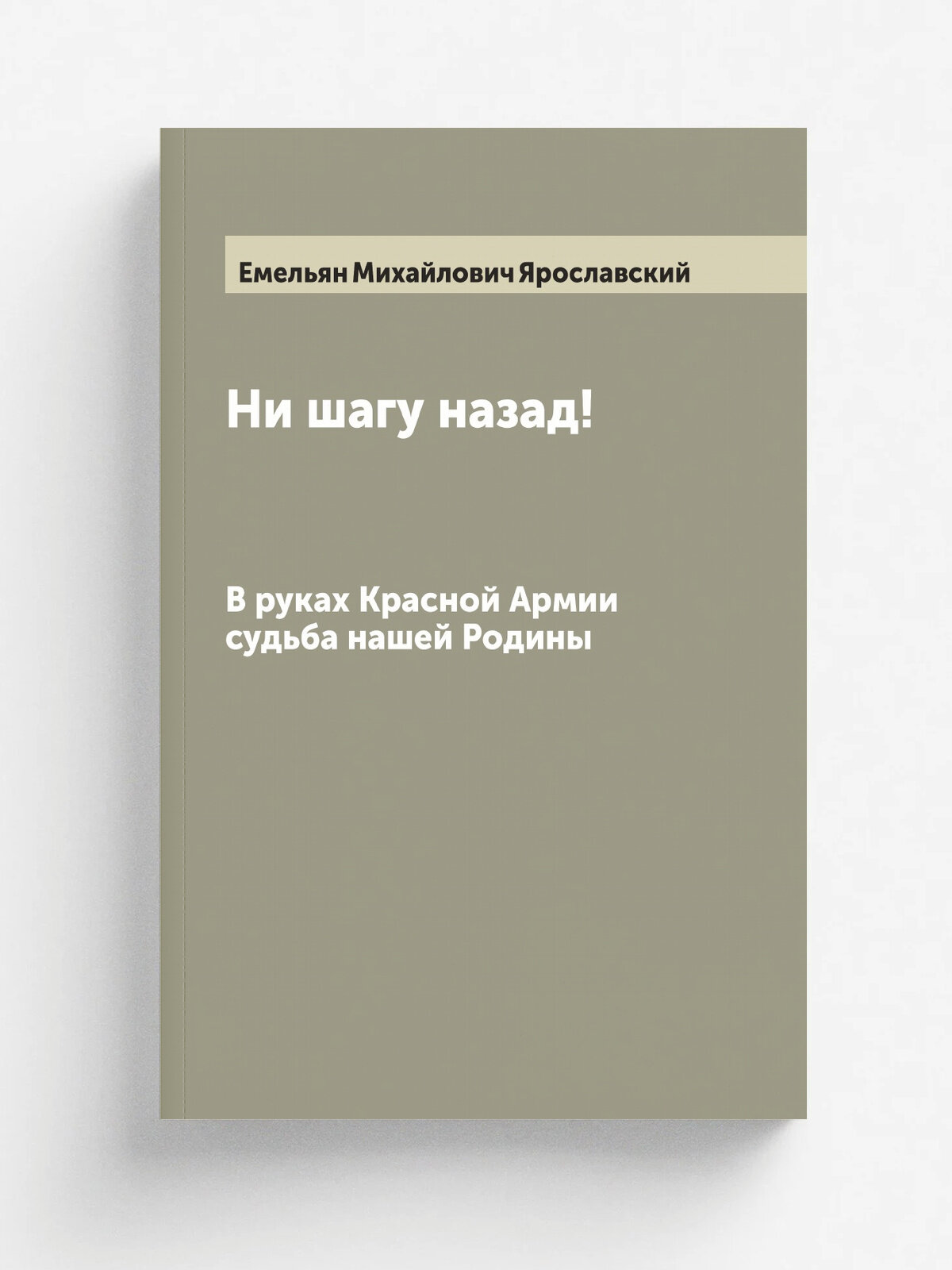 Ни шагу назад. В руках Красной Армии судьба нашей Родины