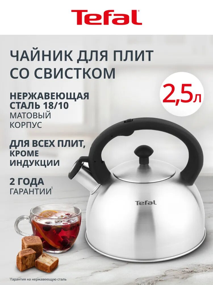Чайник для плиты Tefal Nova 2,5 л, из матовой нержавеющей стали, со свистком, для всех плит, кроме индукции